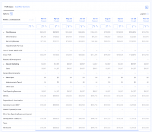 Profit & Loss Projection: How to Forecast Your Income - Finmark