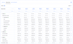 Cash Flow Statement vs. Balance Sheet (Compared) - Finmark